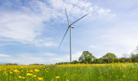 Accelerating Ireland’s energy transition - Energy Ireland