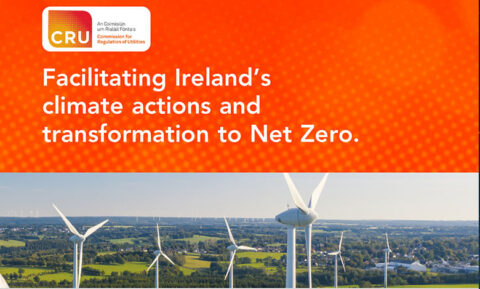 The CRU’s 2025 roadmap: regulating energy and water for a changing ...